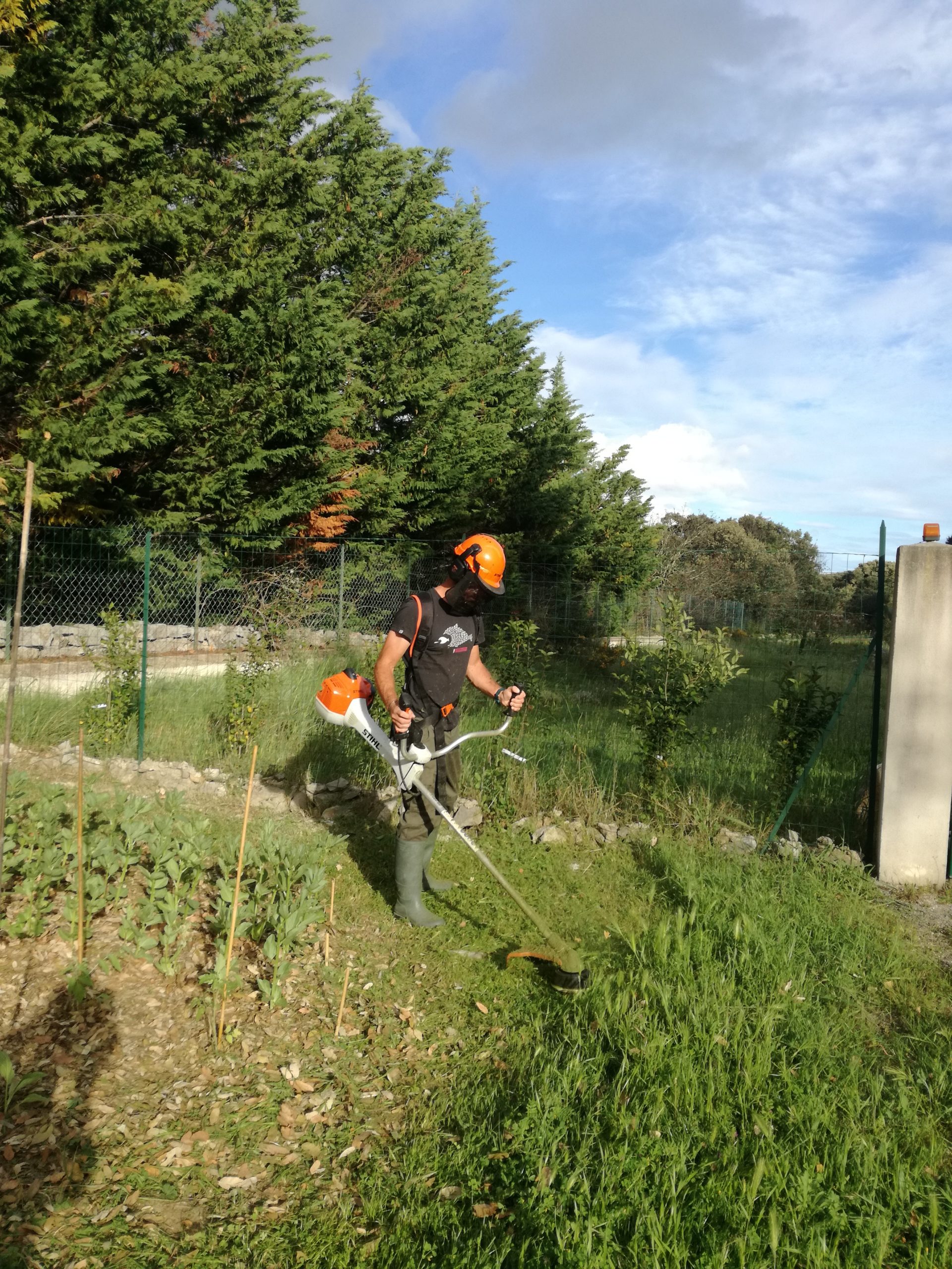 Arbrogrimpeur - Débroussaillage et Entretien - jardins